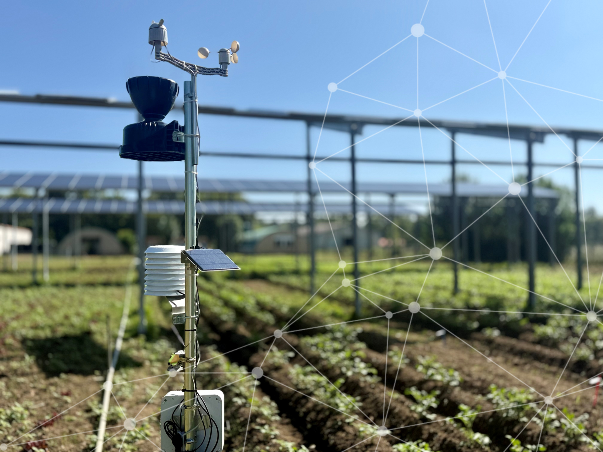 Virtual weather stations to optimise water use in agriculture - Neiker