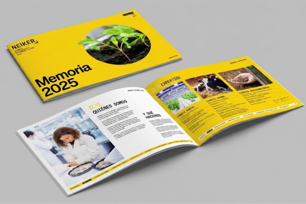 Memoria 2025: en NEIKER seguimos generando conocimiento y transfiriendo ...
